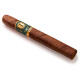 Tiago Classico Box Pressed Maduro